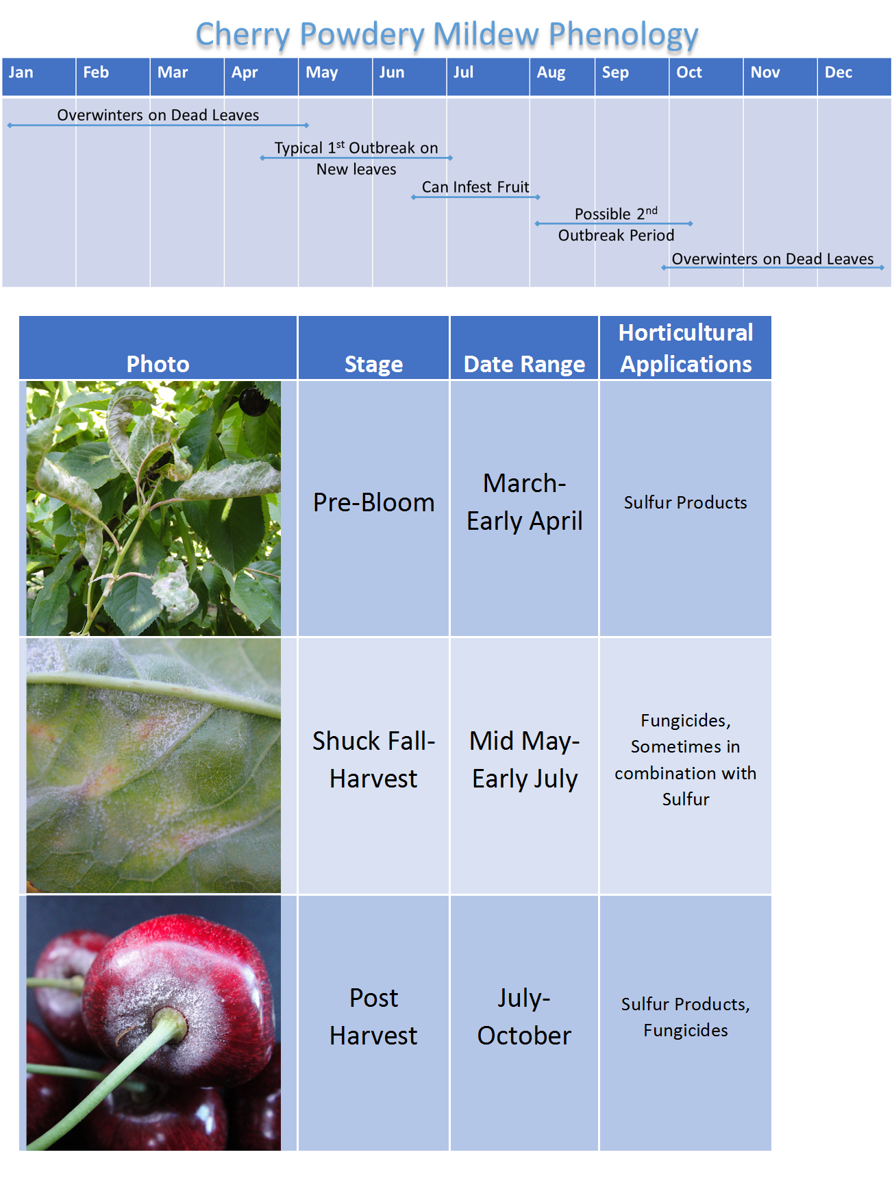 Cherry Powdery Mildew – Northwest Contract Research